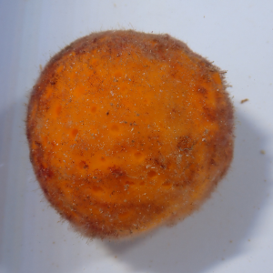 Oceans Garden Aquaculture Orange / Yellow Ball Sponge