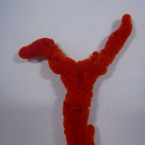 Oceans Garden Aquaculture Red Finger Sponge
