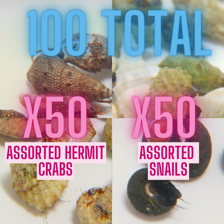 Oceans Garden Aquaculture Featured Sale Clean Up Crew: 100 Total ...